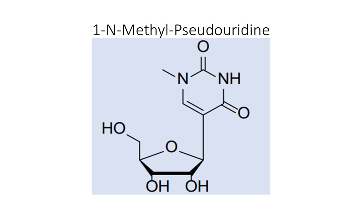 1-N-Methyl-Pseudouridine - Akonscientific
