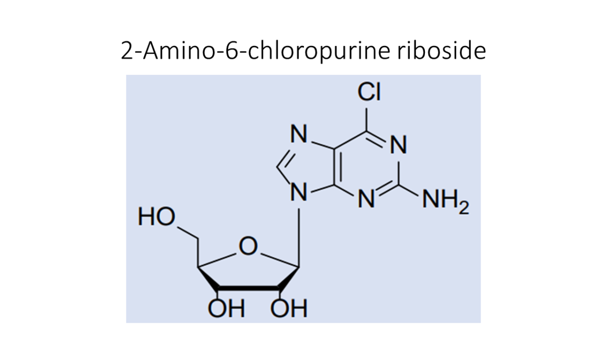 2-Amino-6-chloropurine riboside - Akonscientific