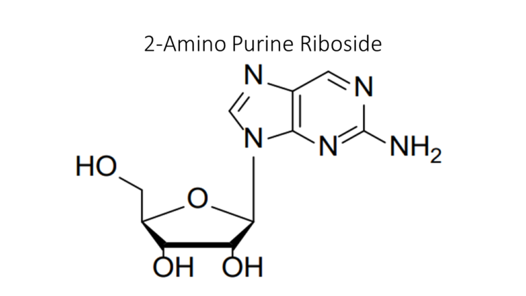 2-Amino Purine Riboside - Akonscientific