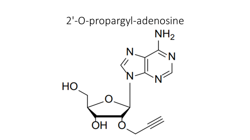 2′-O-propargyl-adenosine - Akonscientific