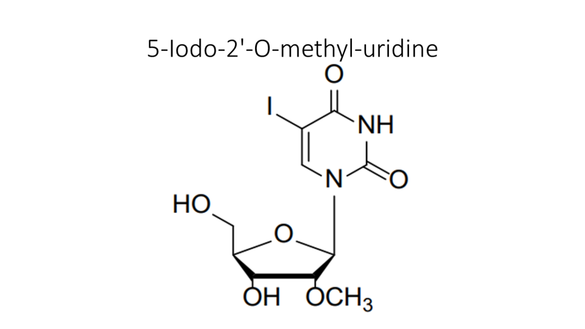 5-Iodo-2′-O-methyl-uridine - Akonscientific