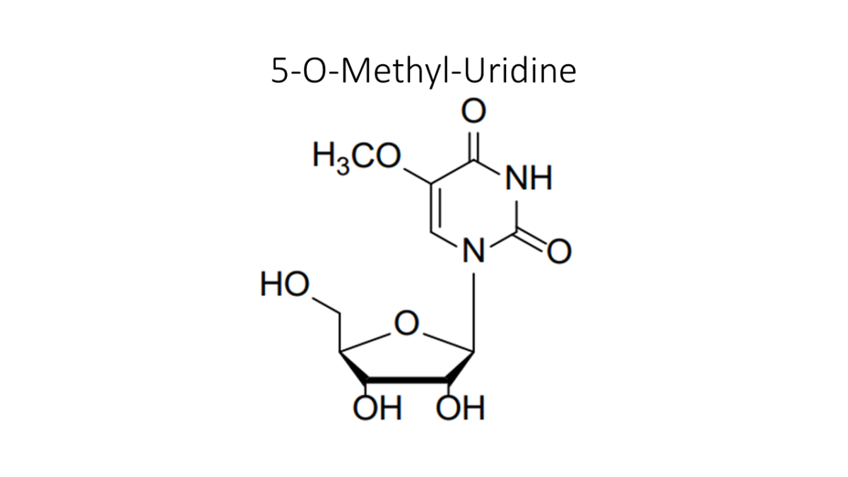 5-O-Methyl-Uridine - Akonscientific