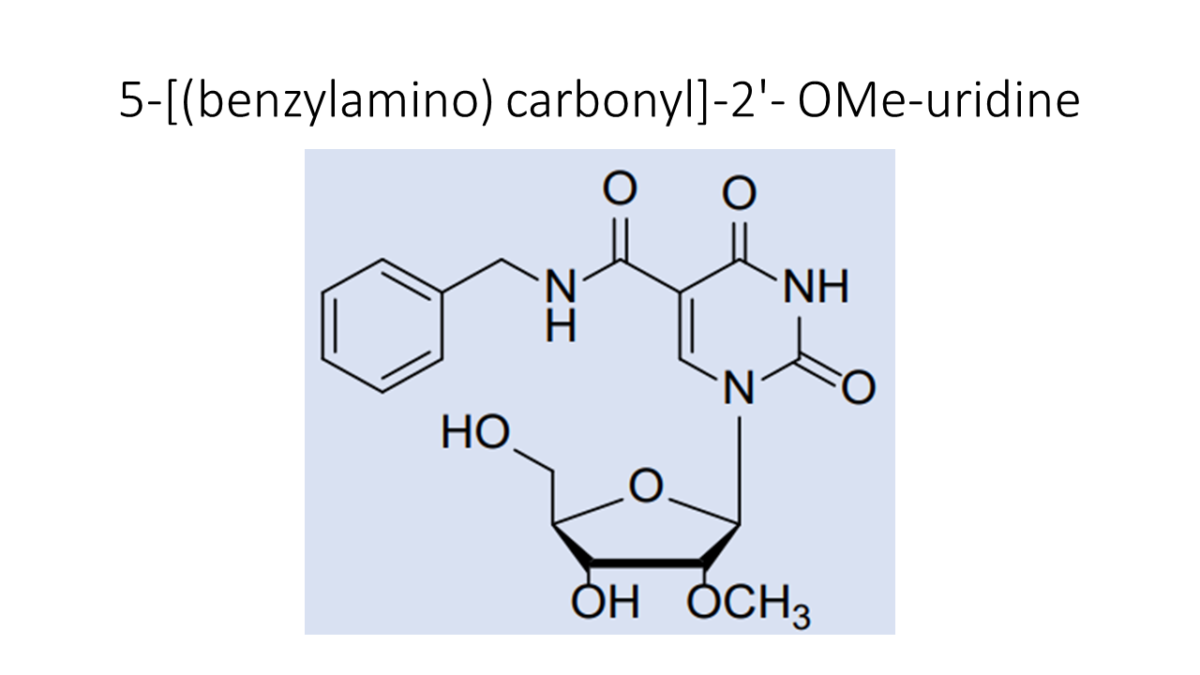 5-[(benzylamino)carbonyl]-2′- OMe-uridine - Akonscientific