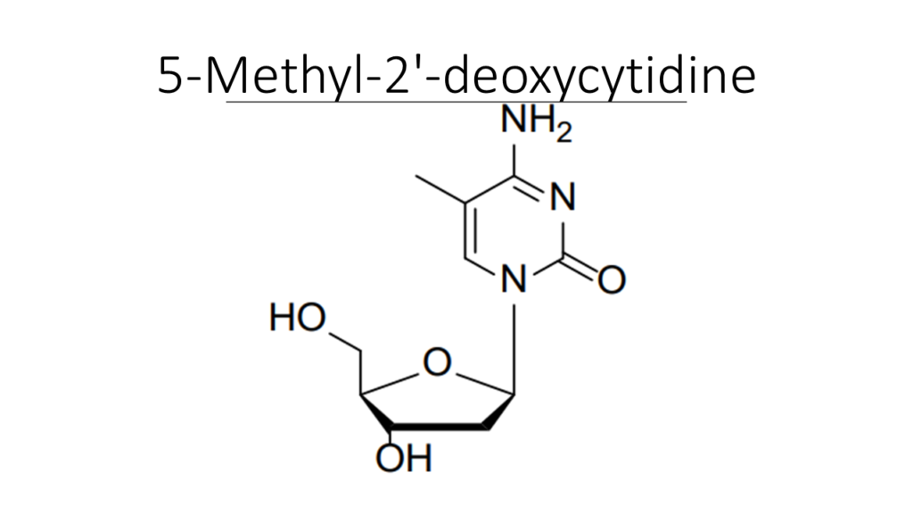 5-Methyl-2′-deoxycytidine - Akonscientific