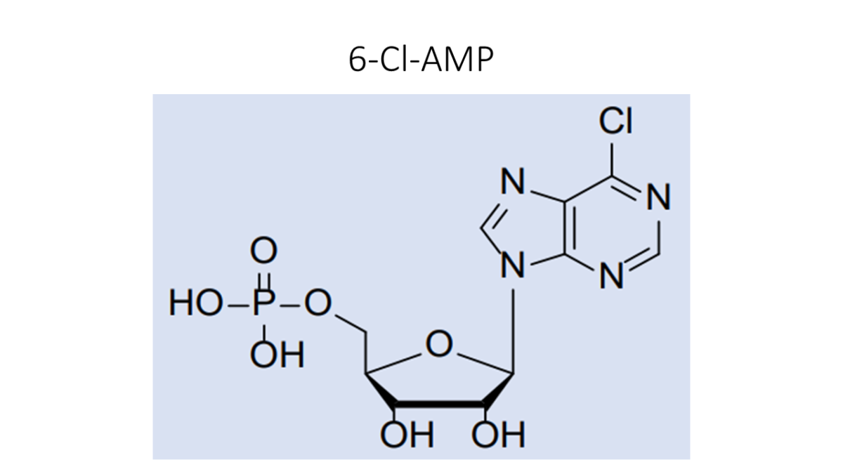 6-Cl-AMP - Akonscientific