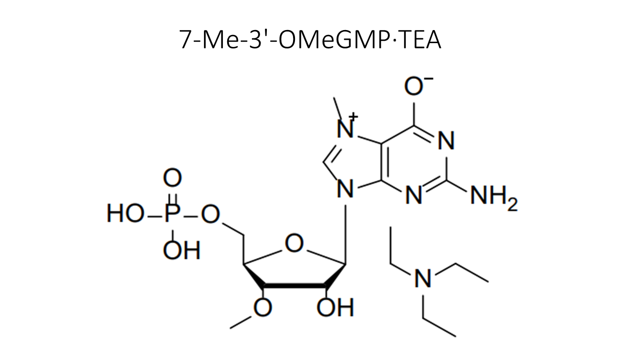 7-Me-3′-OMe GMP·TEA - Akonscientific