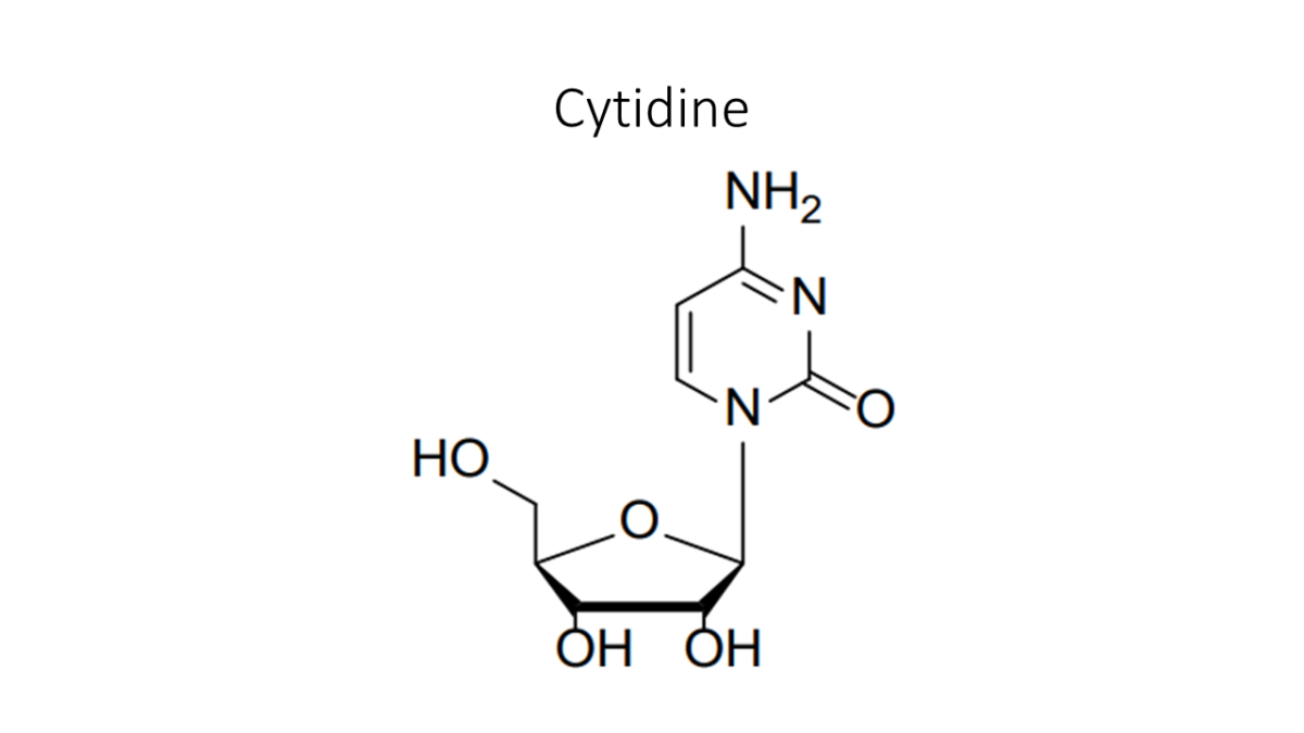 Cytidine - Akonscientific