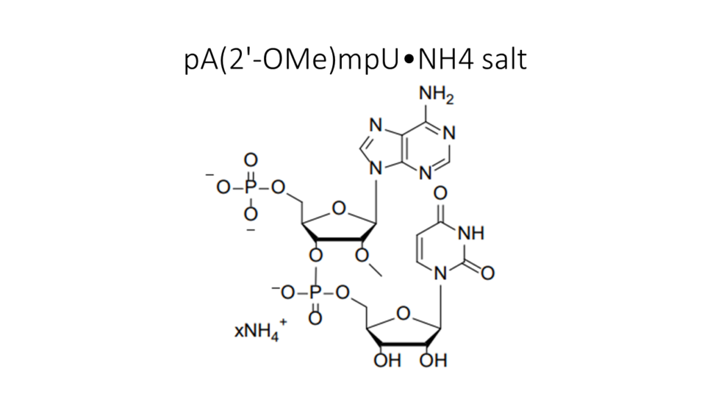 pA(2′-OMe)mpU•NH4 salt - Akonscientific