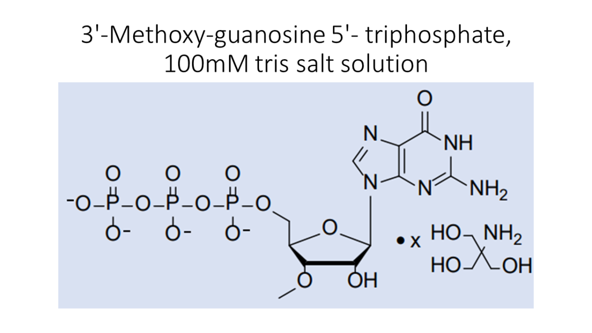 3′-Methoxy-guanosine 5′- triphosphate, 100mM tris salt solution ...