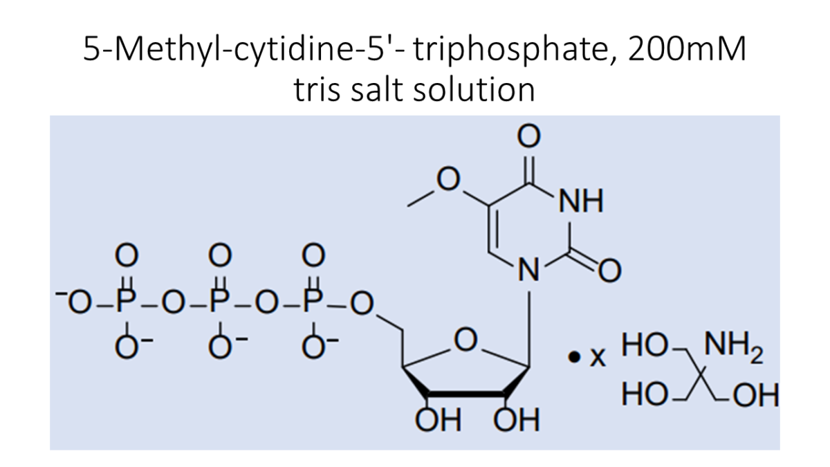 5-Methyl-cytidine-5′- triphosphate, 200mM tris salt solution ...