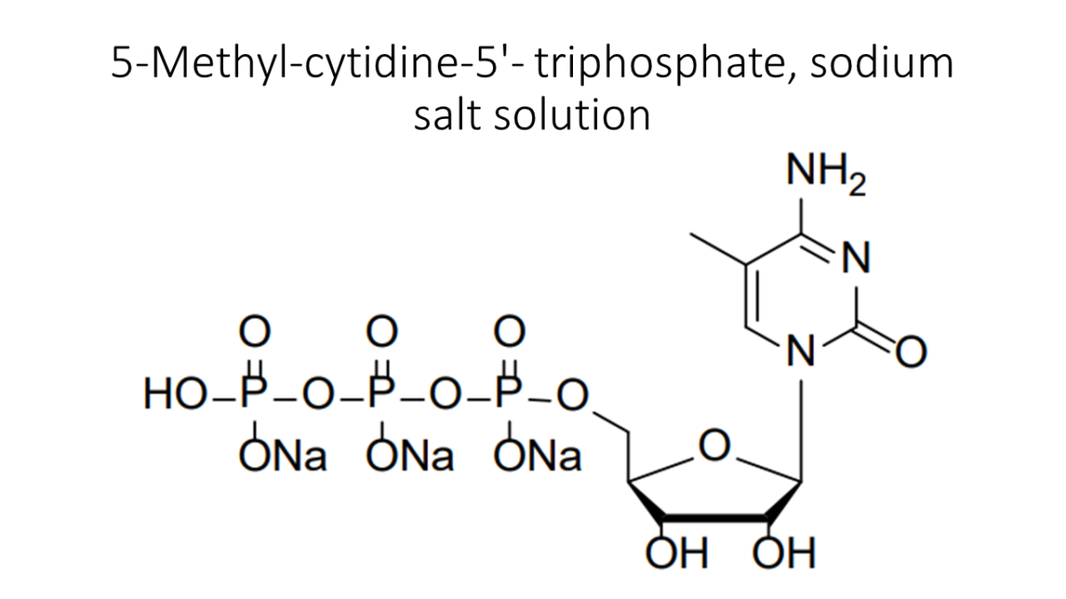 5-Methyl-cytidine-5′- triphosphate, sodium salt solution - Akonscientific