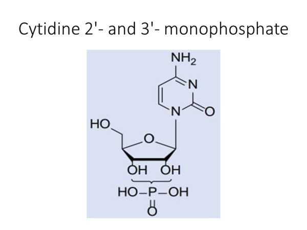 Cytidine 2′- and 3′- monophosphate - Akonscientific
