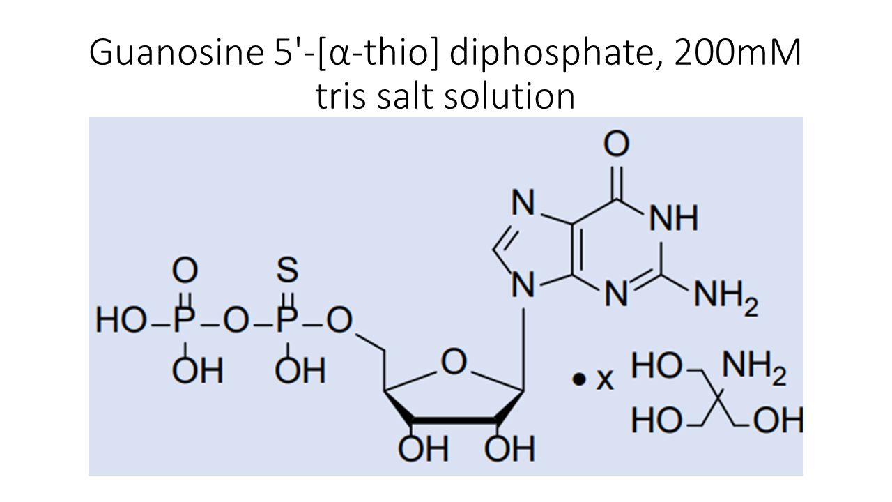 Guanosine 5′-[α-thio] diphosphate, 200mM tris salt solution ...