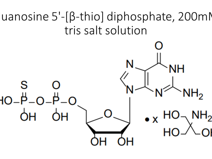 Modified Diphosphates - Akonscientific
